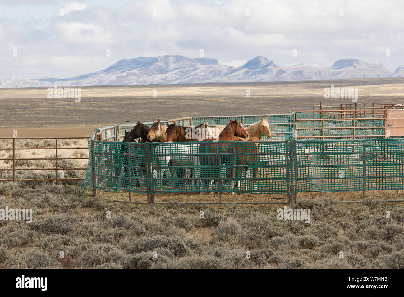 Rounded basin hi-res stock photography and images - Alamy