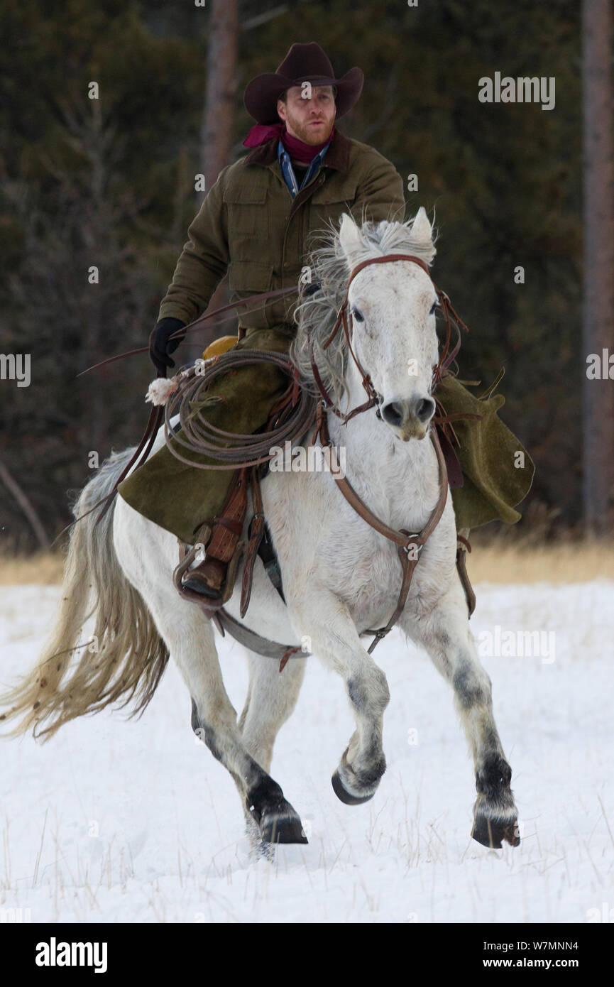 Mounted cowboy riding in snow, Wyoming, USA, model released Stock Photo ...