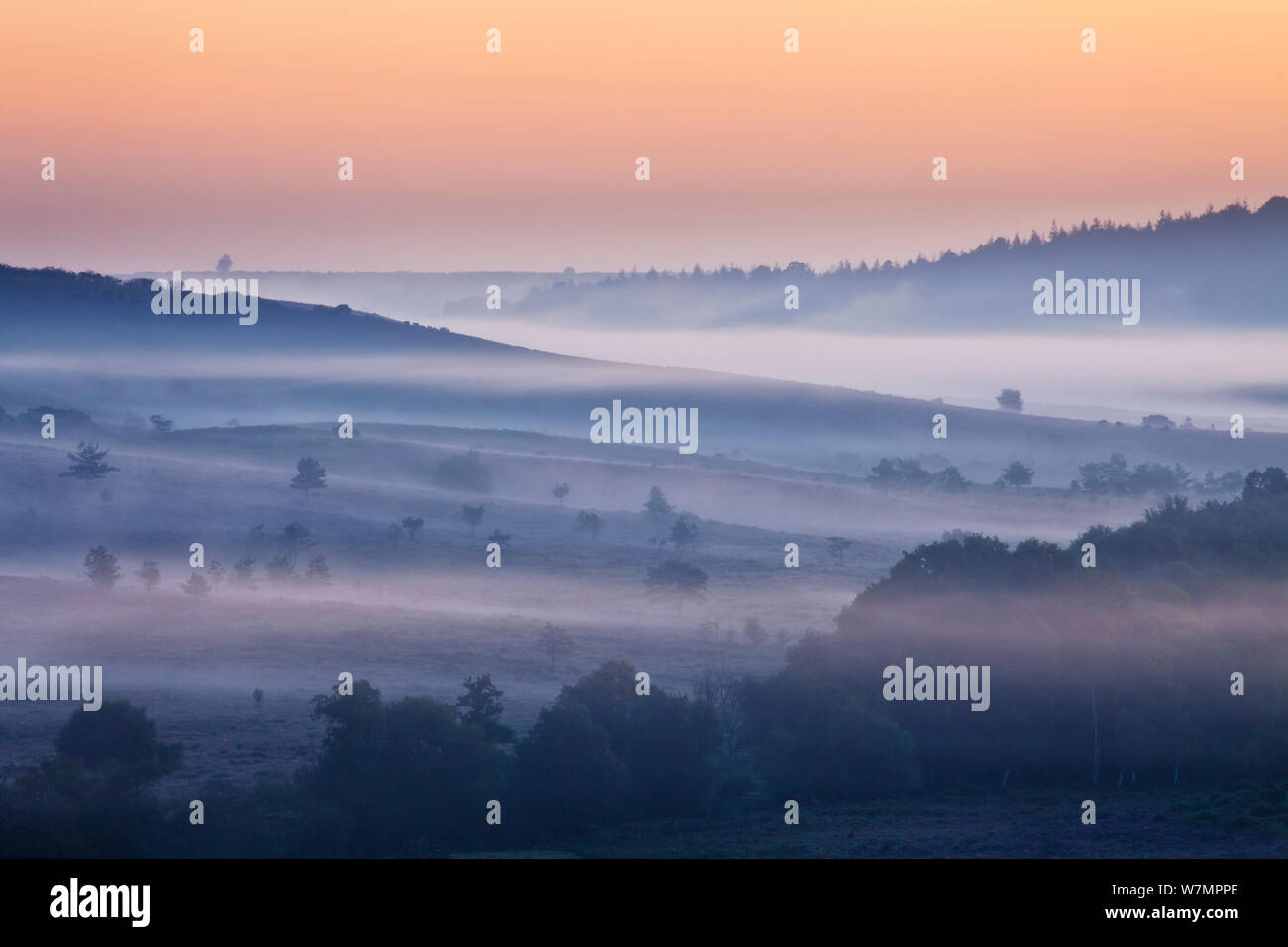 View over mist-covered New Forest lowland heathland from Rockford ...