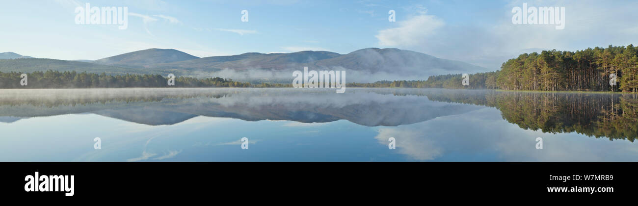 Loch garten rspb reserve hi-res stock photography and images - Alamy