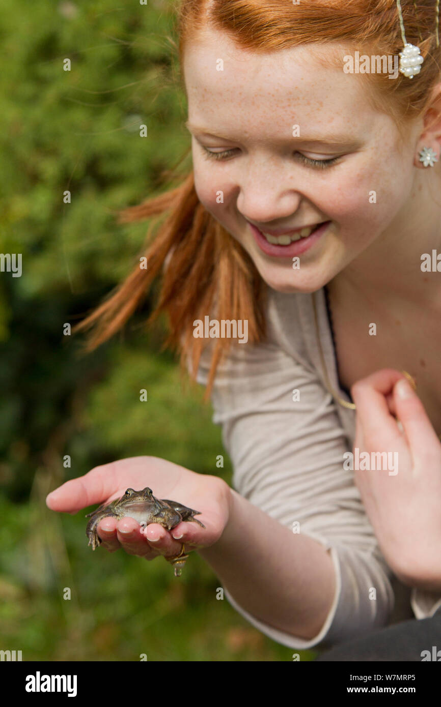 Girl with common frog hi-res stock photography and images - Alamy
