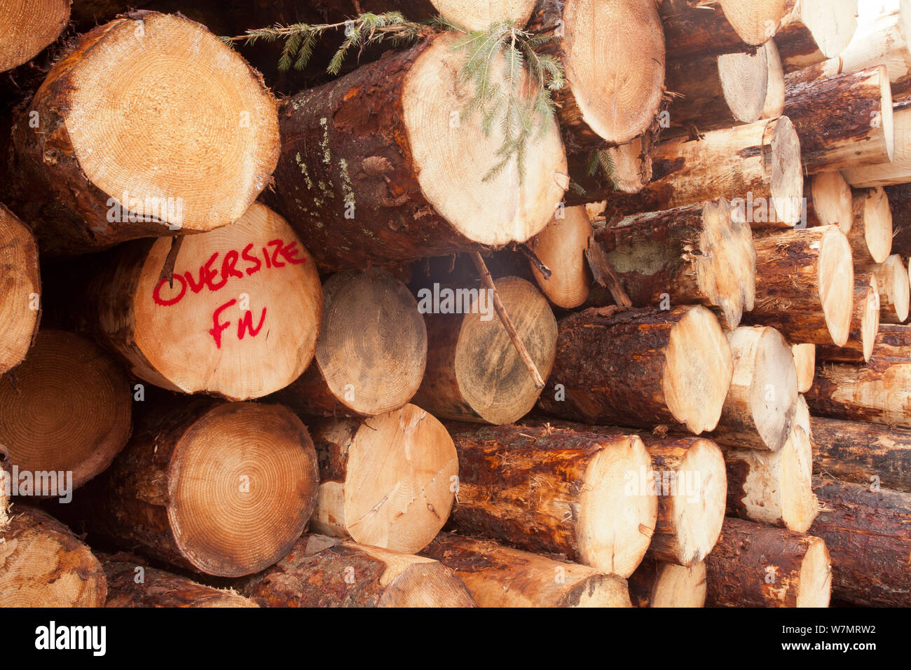 Scotland logging industry hi-res stock photography and images - Alamy