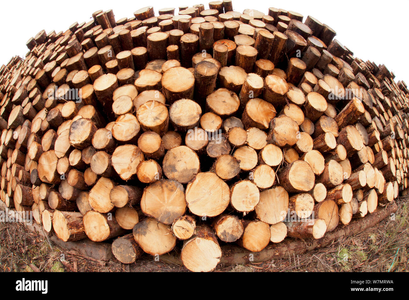 Logging boat hi-res stock photography and images - Alamy