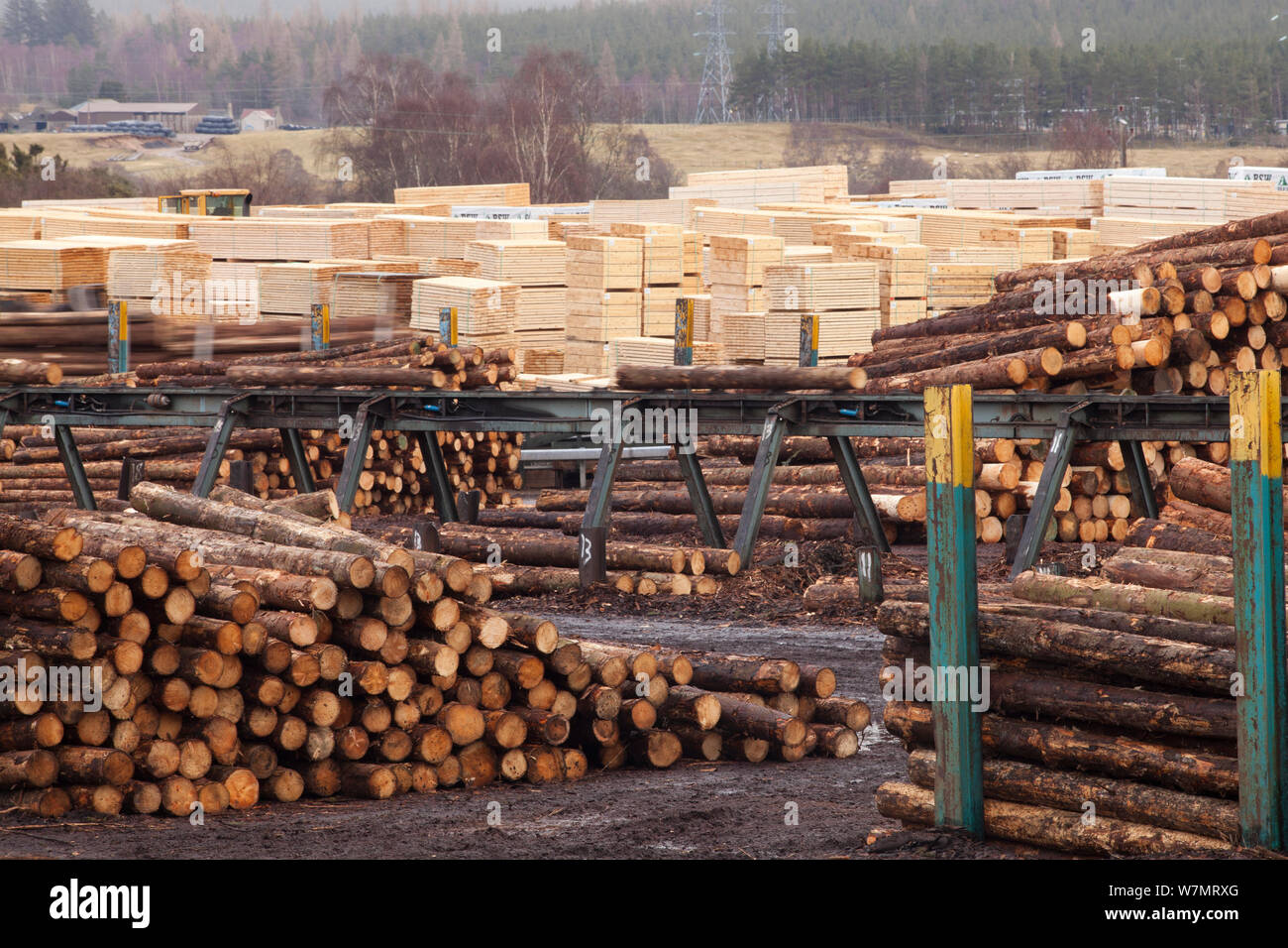 Bsw timber hi-res stock photography and images - Alamy