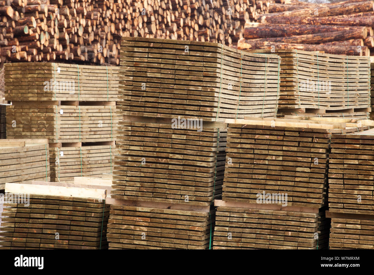 Bsw timber hi-res stock photography and images - Alamy
