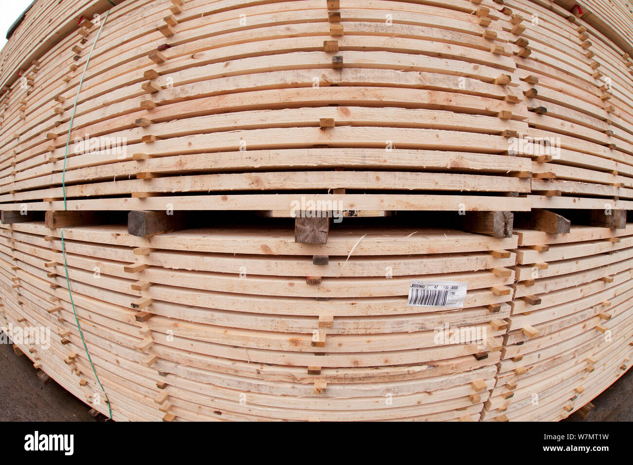 Bsw timber hi-res stock photography and images - Alamy