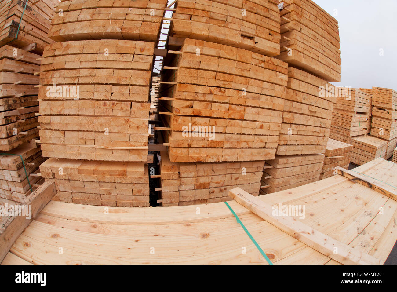 Bsw timber hi-res stock photography and images - Alamy