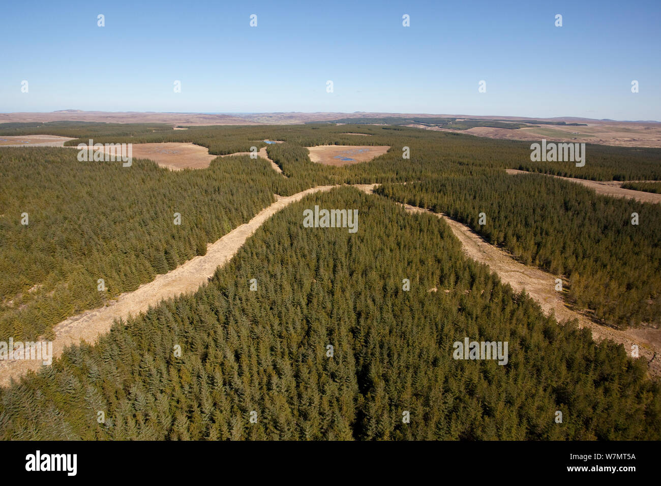 Forestry uk hi-res stock photography and images - Alamy
