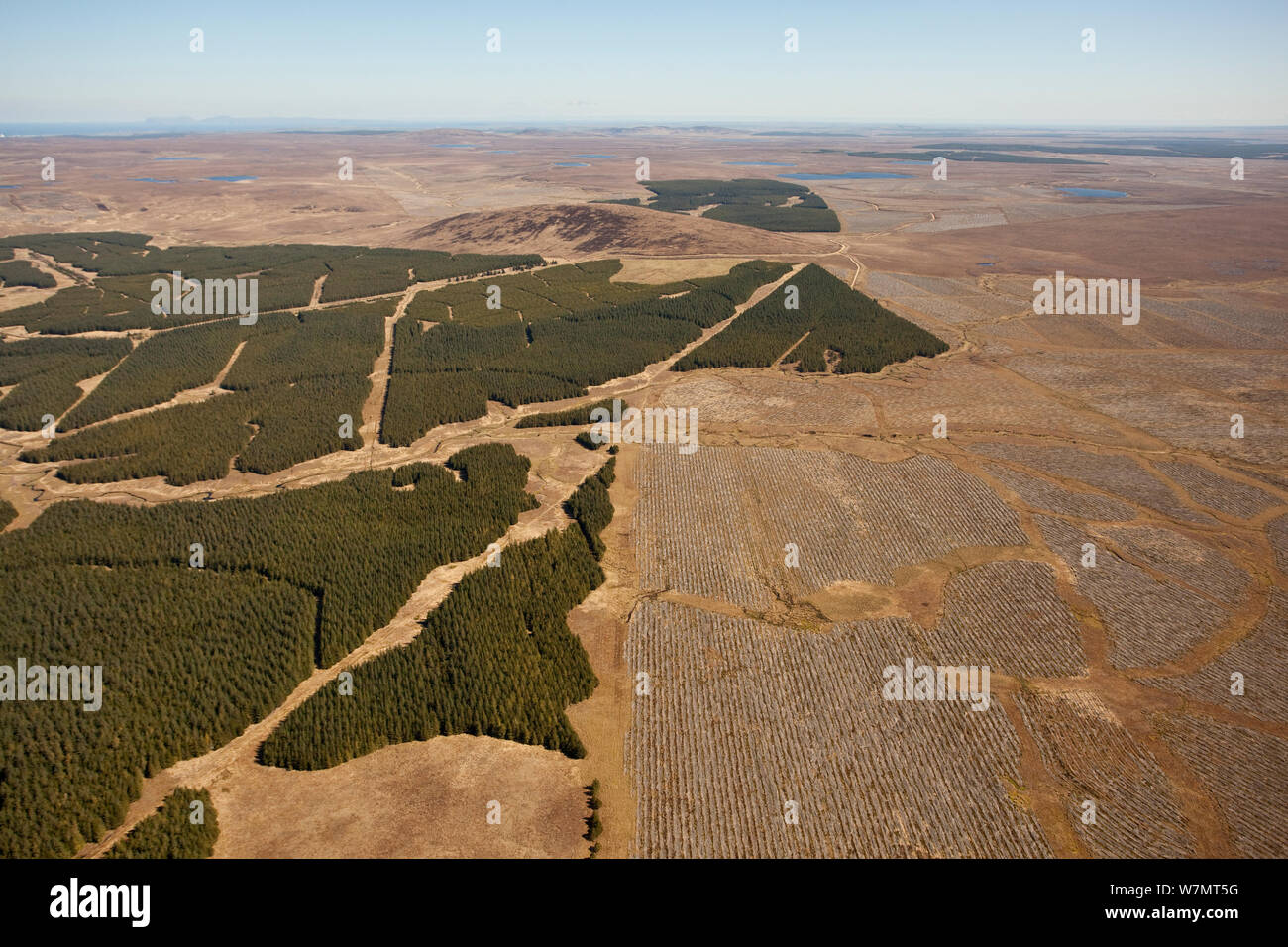 Selective felling hi-res stock photography and images - Alamy