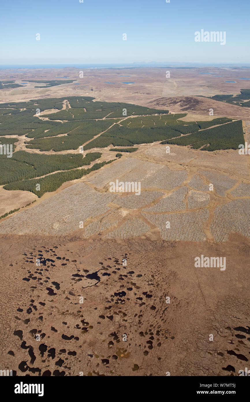 Bog areas hi-res stock photography and images - Alamy
