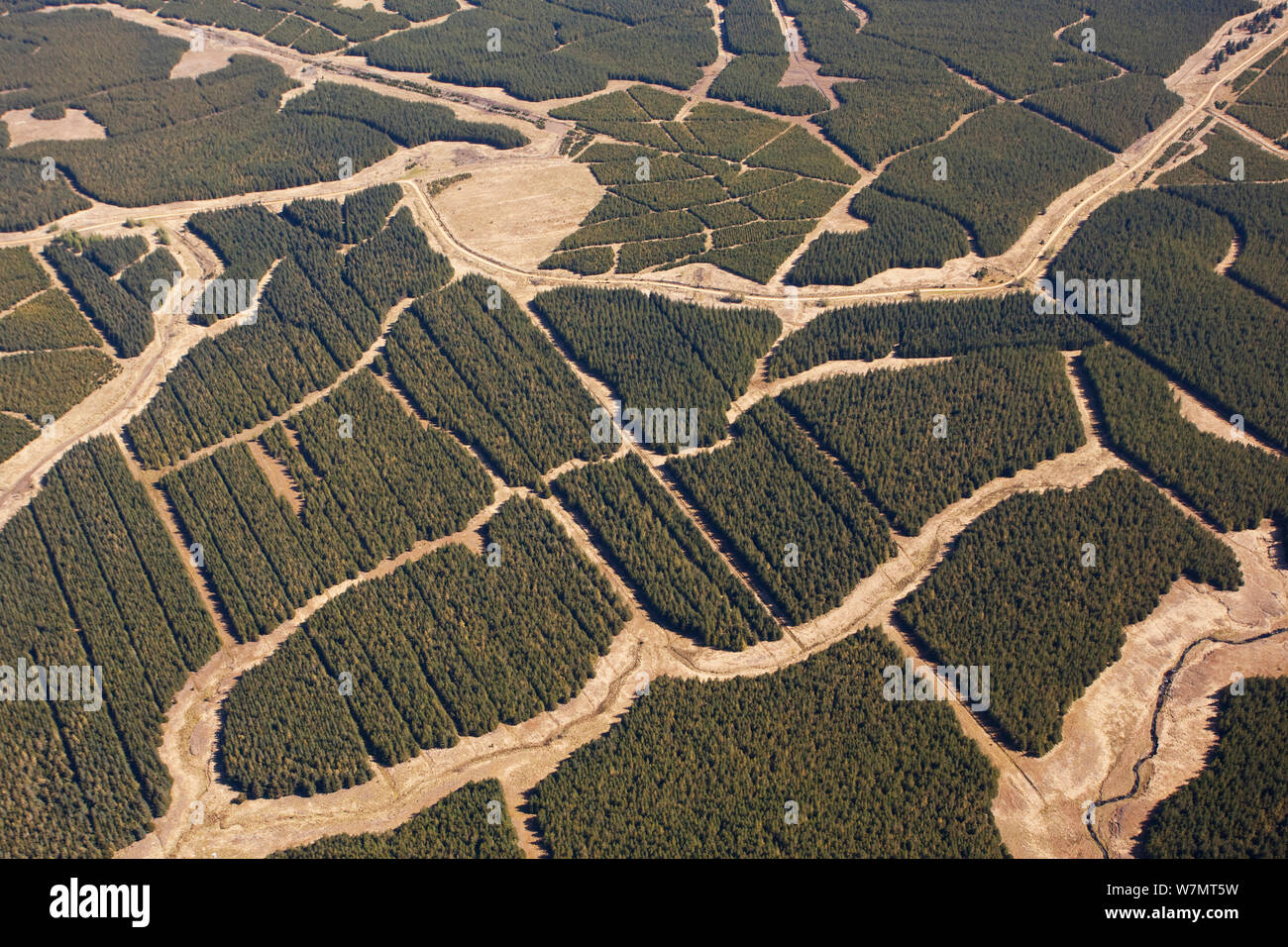 Blanket bog aerial view hi-res stock photography and images - Alamy