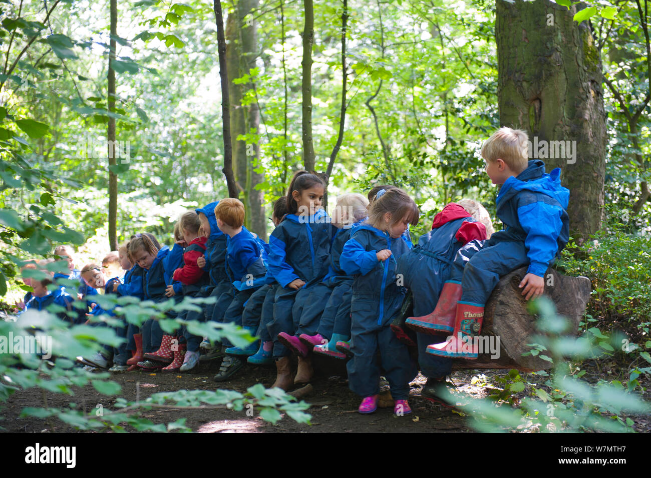 Forest school uk children nursery hi-res stock photography and images ...