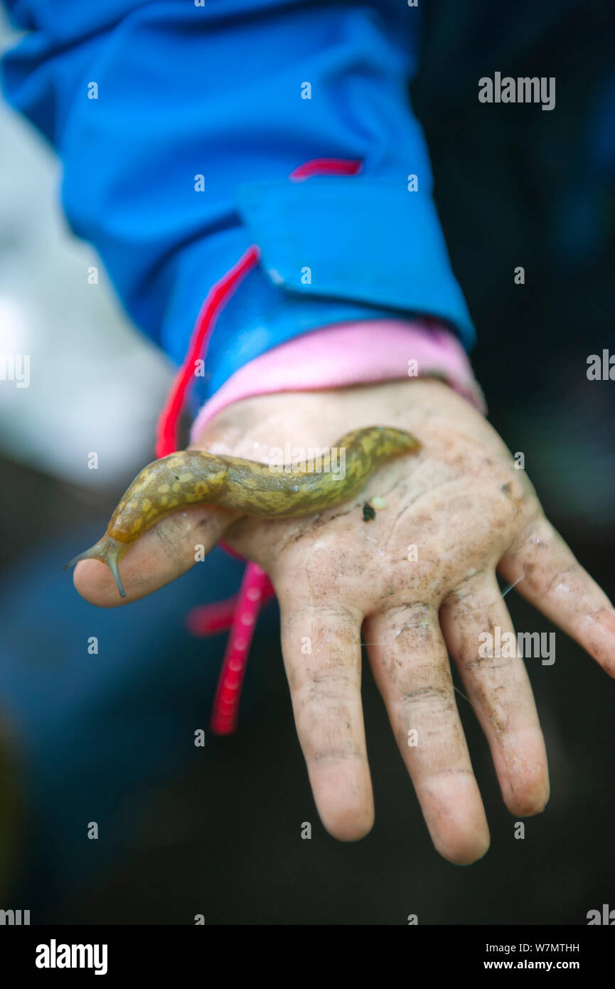 Child from Rowley View Nursery School holding slug in hand at the ...