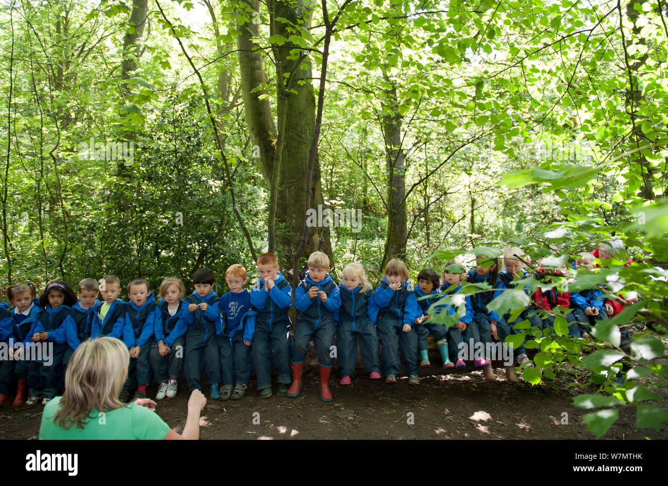Forest school hi-res stock photography and images - Alamy