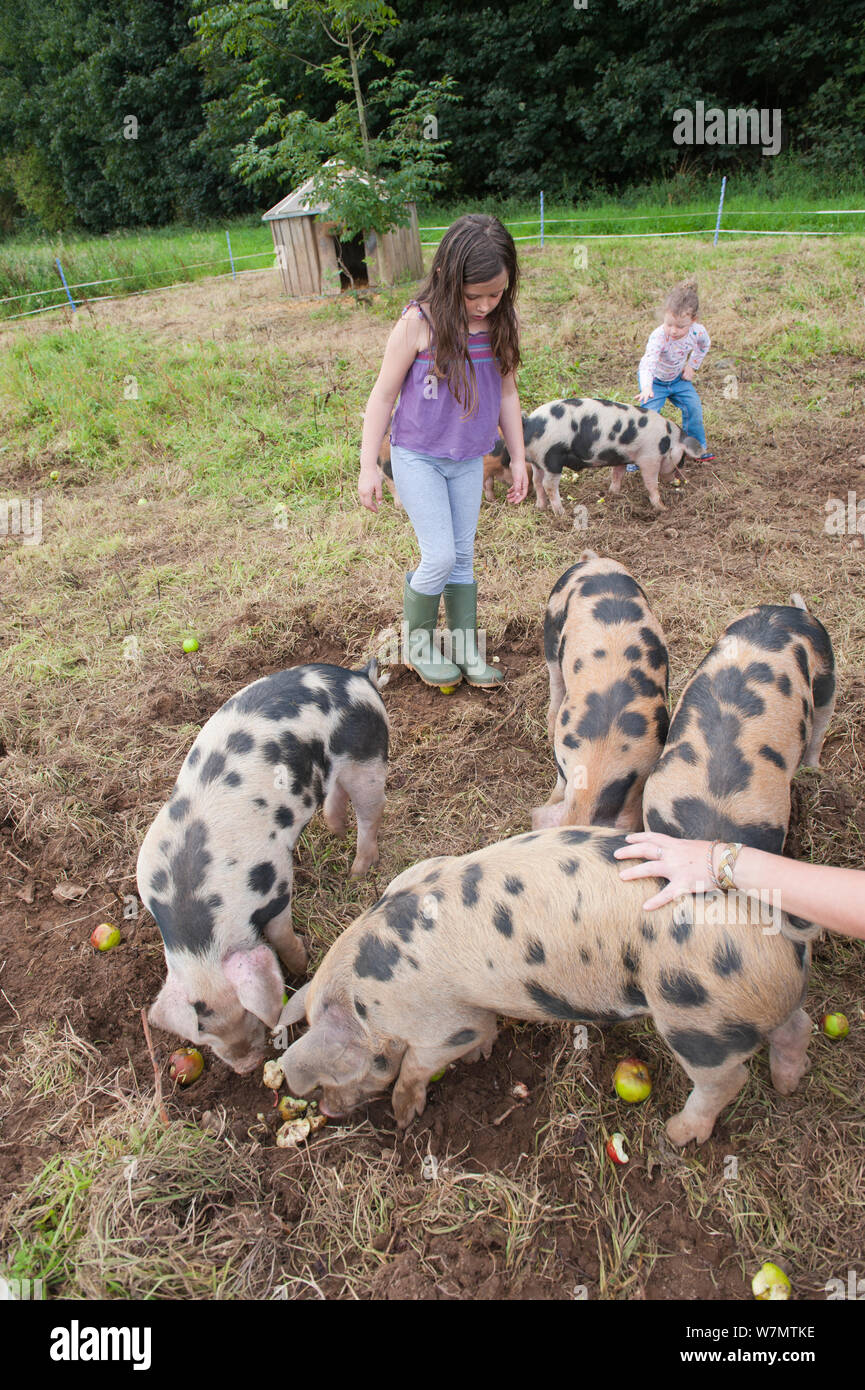 Girls with pigs hi-res stock photography and images - Alamy