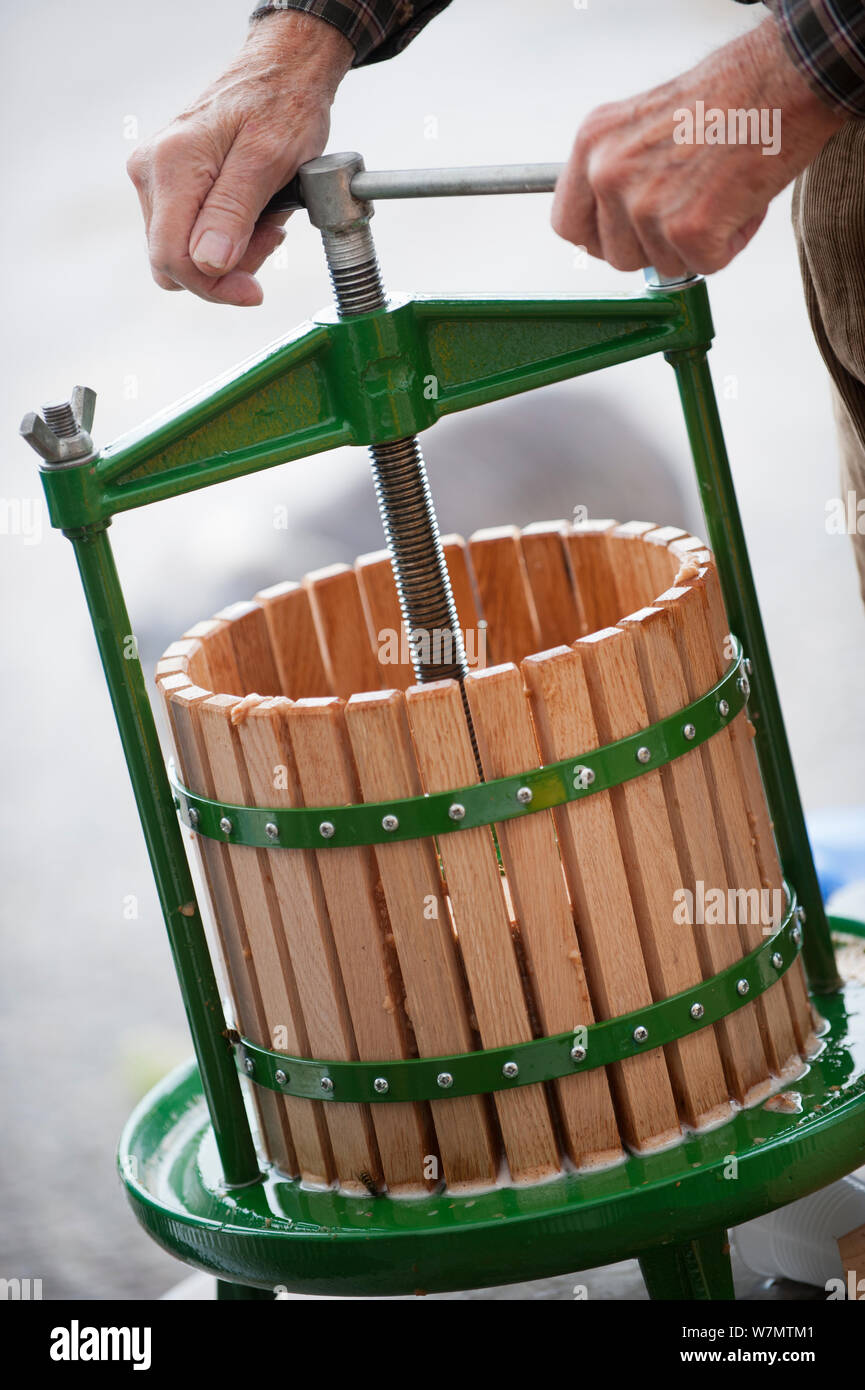 Apple pulp being pressed to extract juice, Old Sleningford Community ...