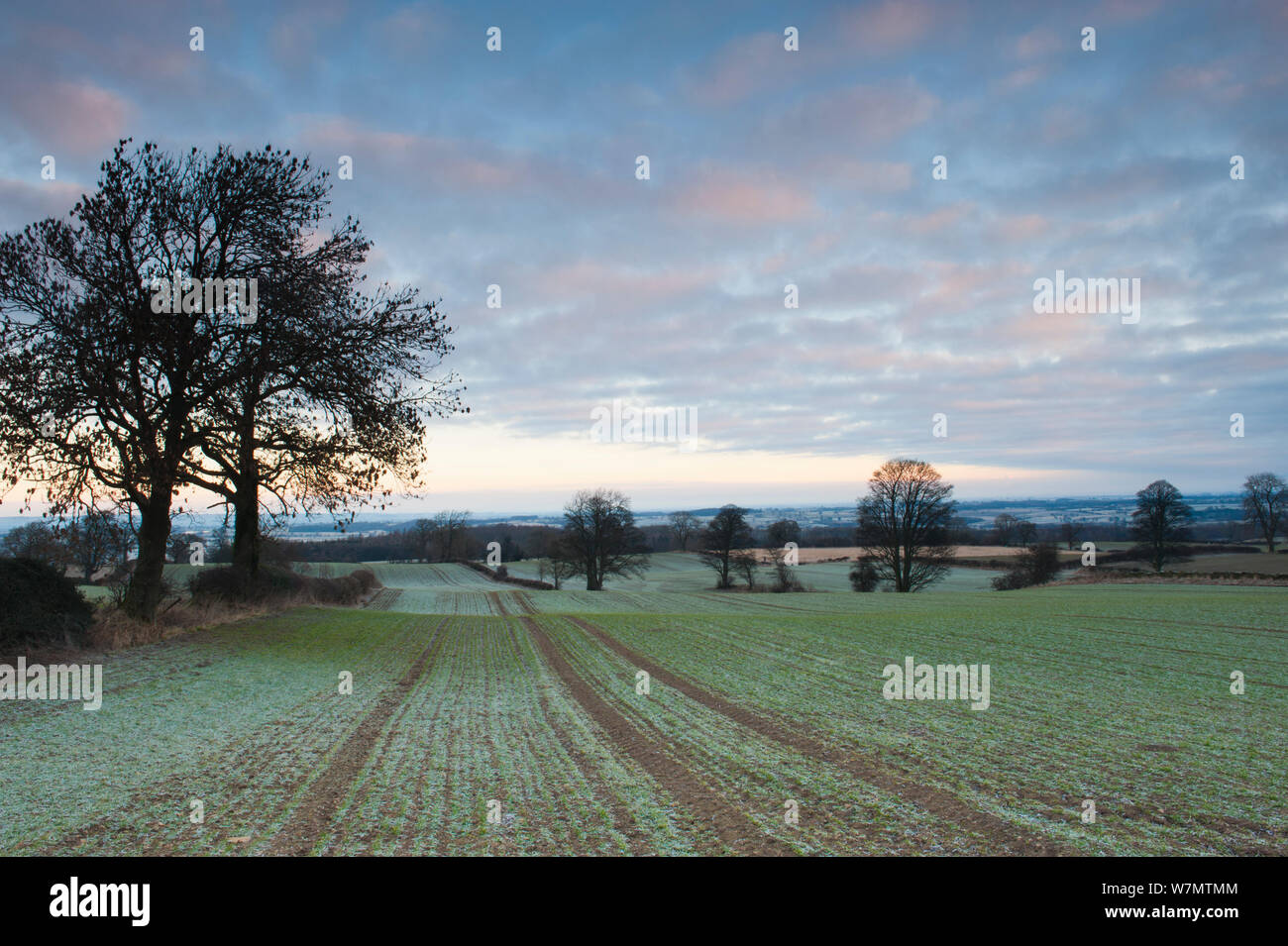 Ellingstring yorkshire hi-res stock photography and images - Alamy