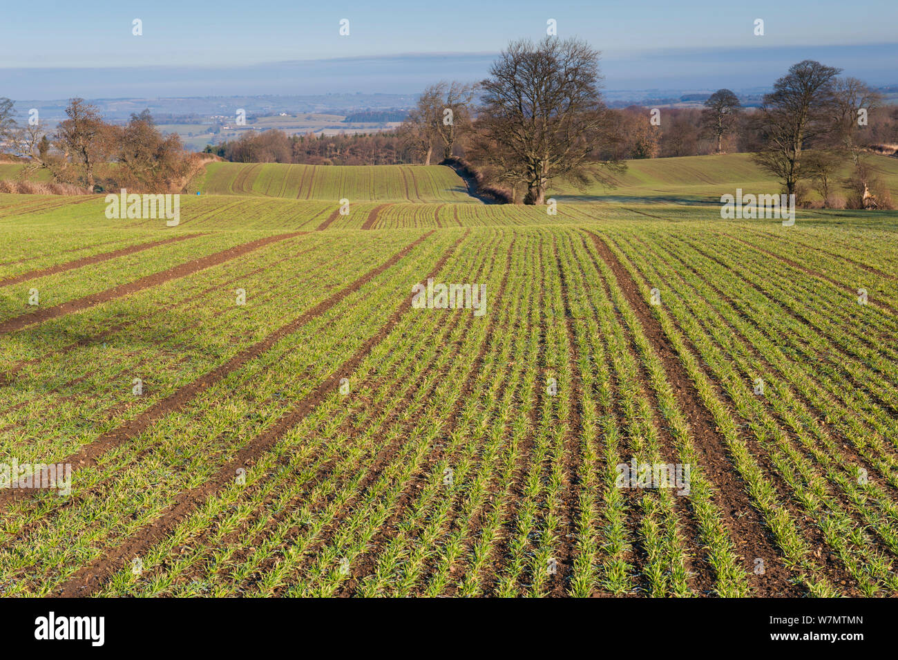Ellingstring yorkshire hi-res stock photography and images - Alamy