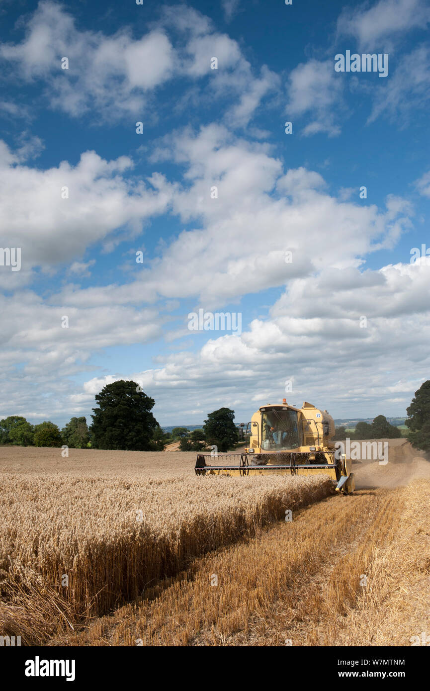 Farm uk harvest hi-res stock photography and images - Alamy