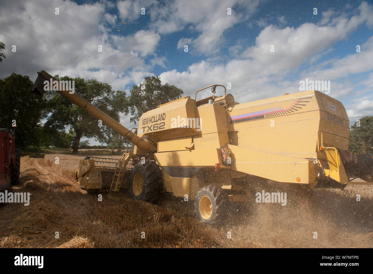 Combine harvester combining Oats, Haregill Lodge Farm, Ellingstring ...