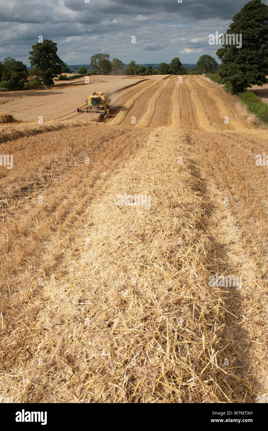 Ellingstring hi-res stock photography and images - Alamy