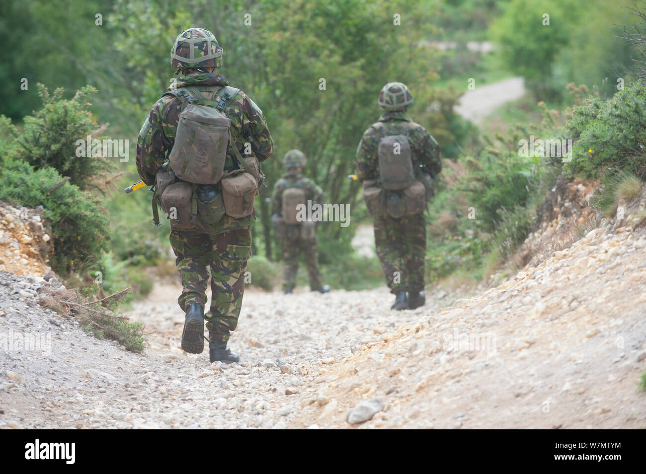 Army training uk camouflage hi-res stock photography and images - Alamy