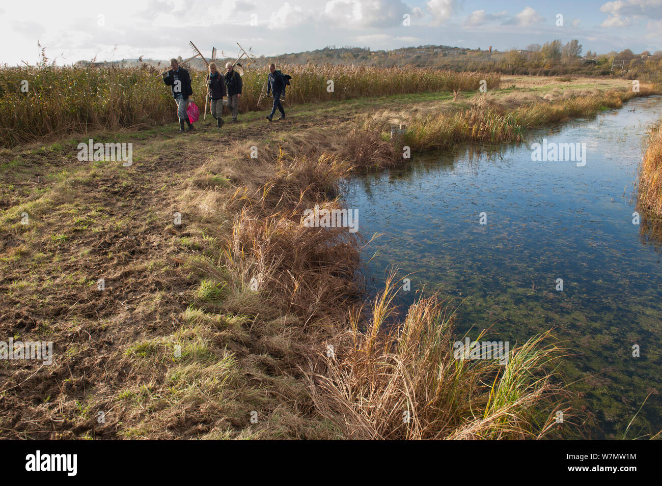 Rspb work hi-res stock photography and images - Alamy