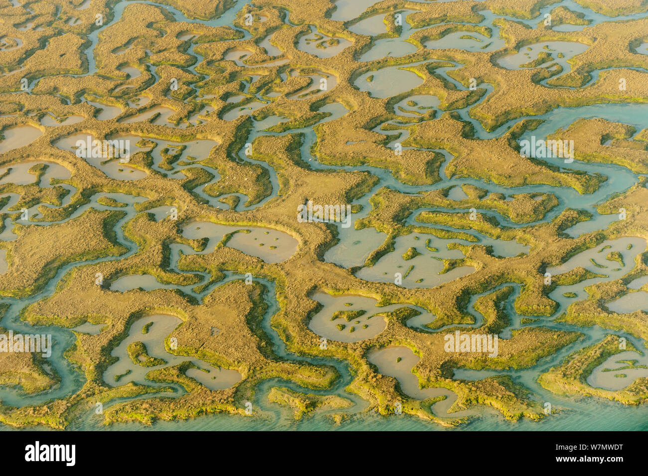 Water channels making patterns in saltmarsh, seen from the air. Abbotts ...