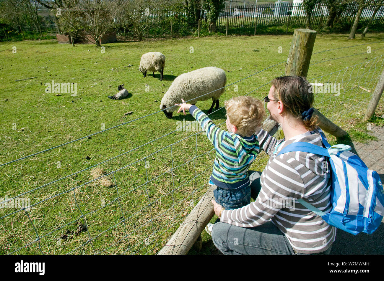 Swansea 2009 High Resolution Stock Photography and Images - Alamy