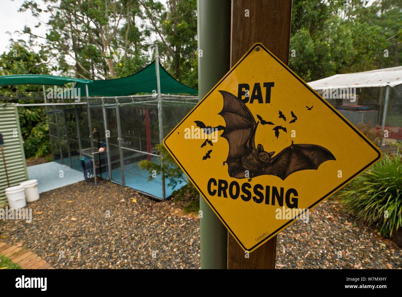 Bat Crossing sign at Tolga Bat Hospital, Atherton, North Queensland ...