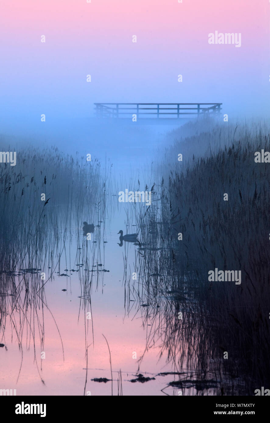 Salthouse marshes norfolk sunset hi-res stock photography and images ...