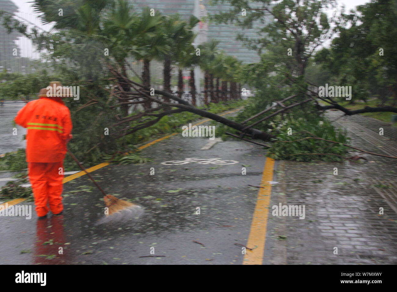 A Chinese worker removes tree branches broken by strong wind caused by ...