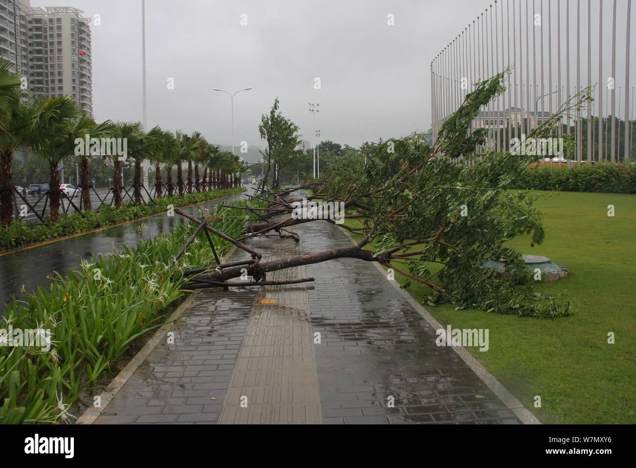 Typhoon talas hi-res stock photography and images - Alamy
