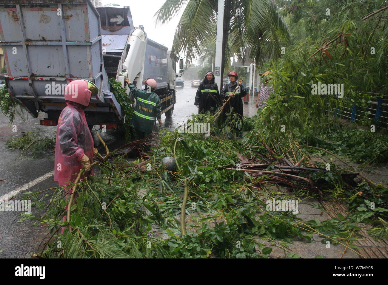Working staff remove branches of a tree uprooted by strong wind caused ...