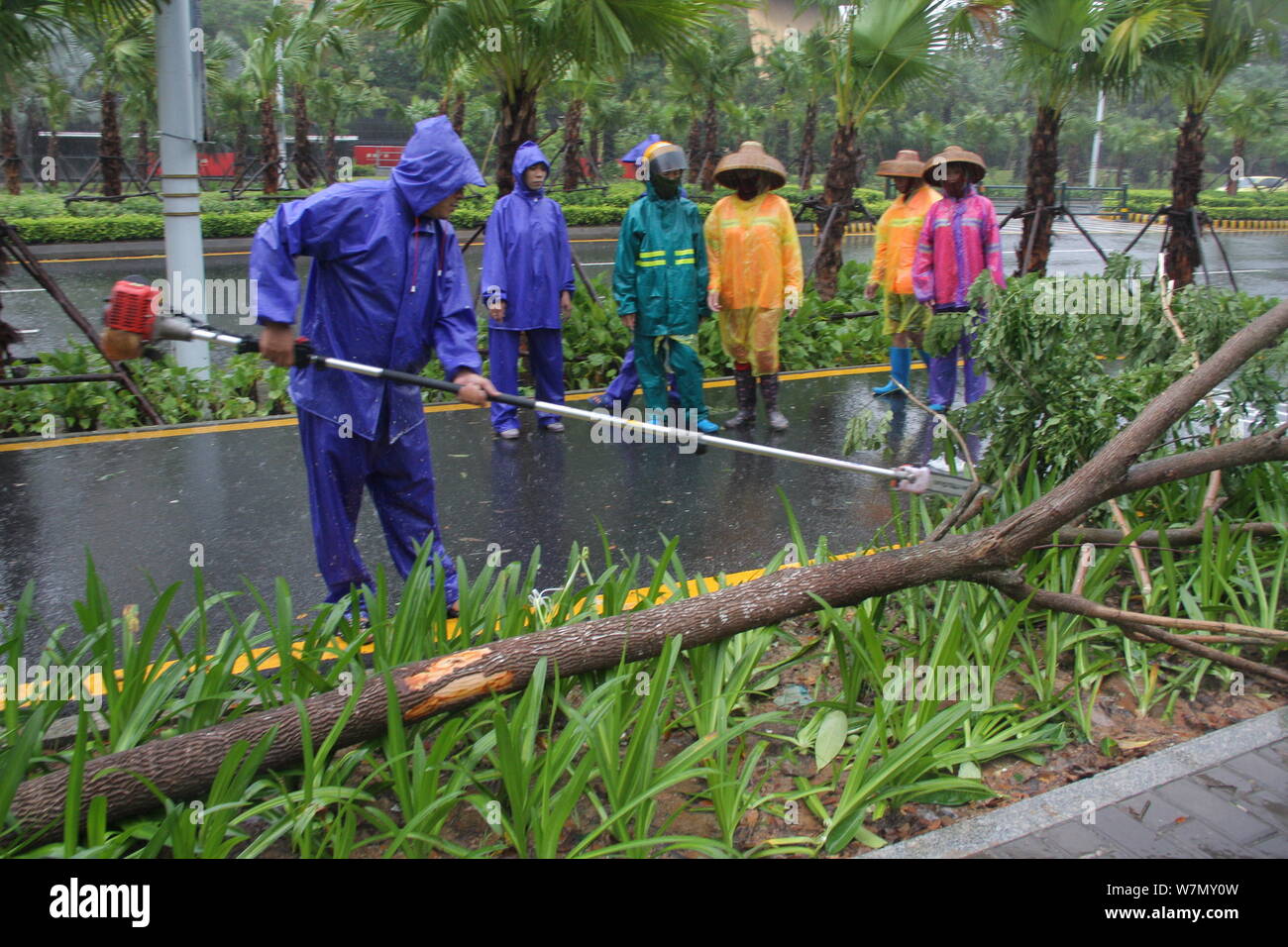 Typhoon talas hi-res stock photography and images - Alamy