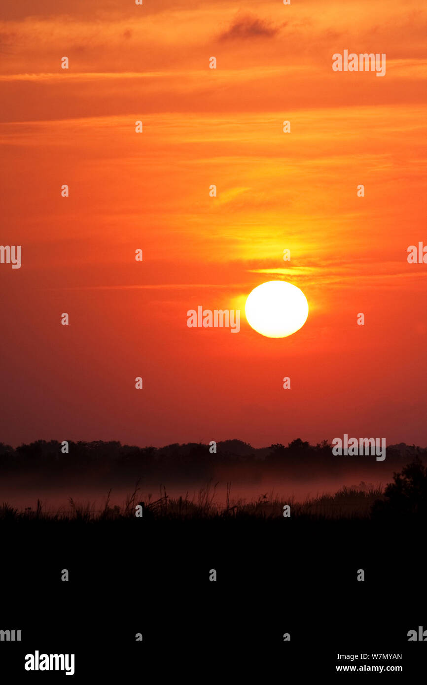 Sunset over Three Lakes State Park, east coast of Central Florida, USA ...