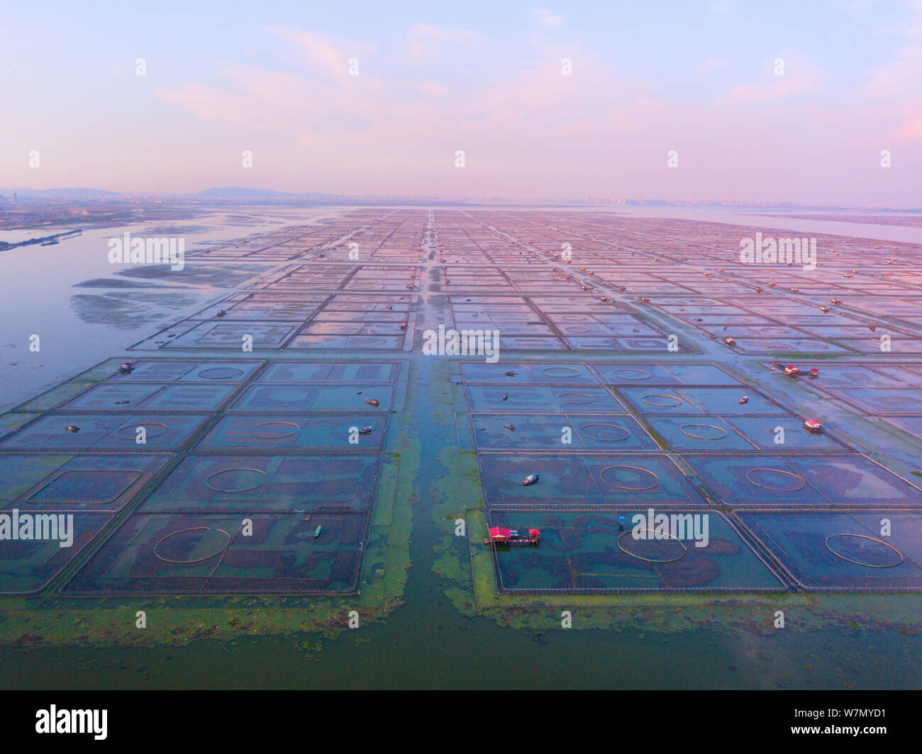 Fish ponds hi-res stock photography and images - Alamy