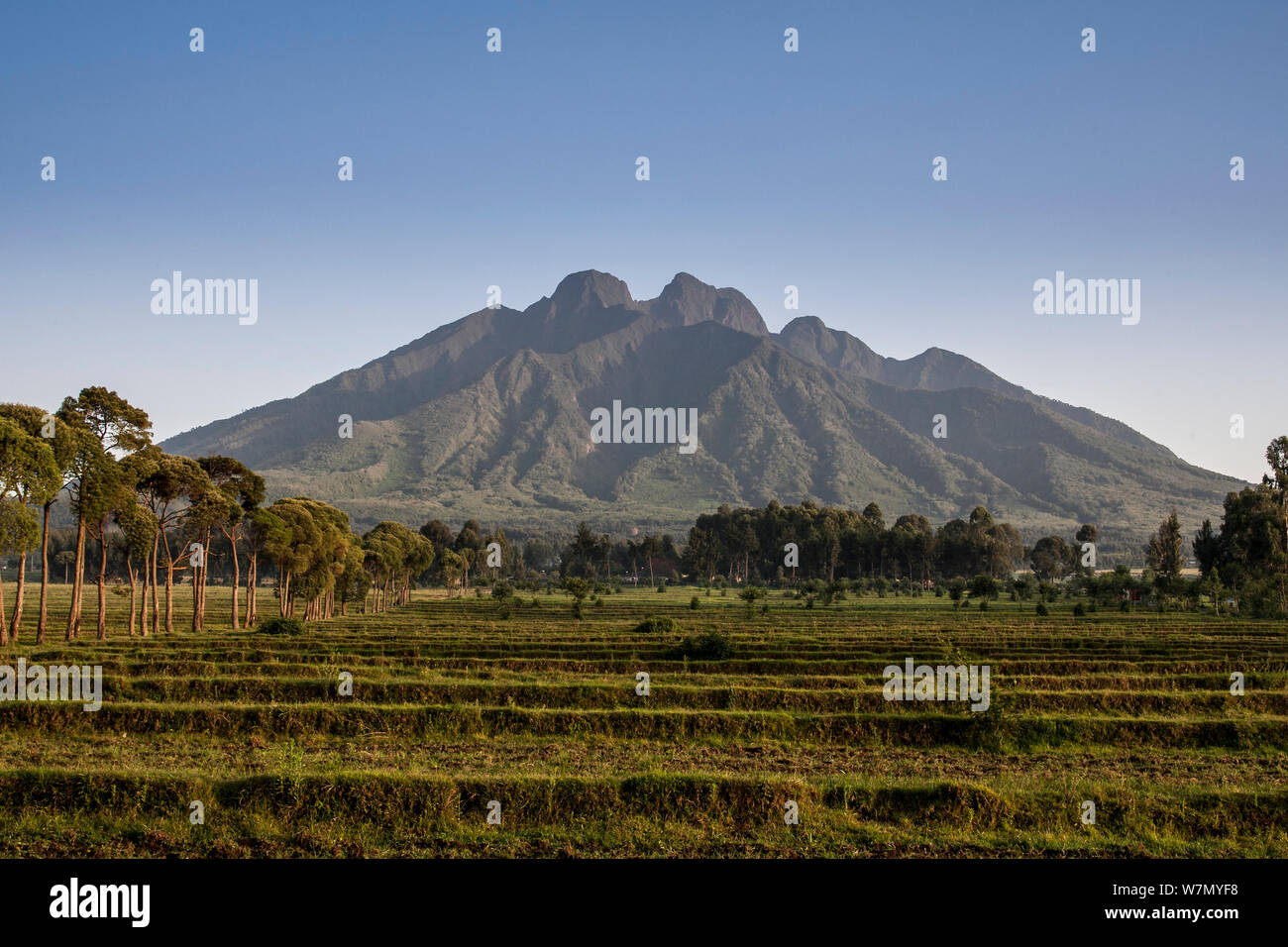 Ruhengeri rwanda hi-res stock photography and images - Alamy