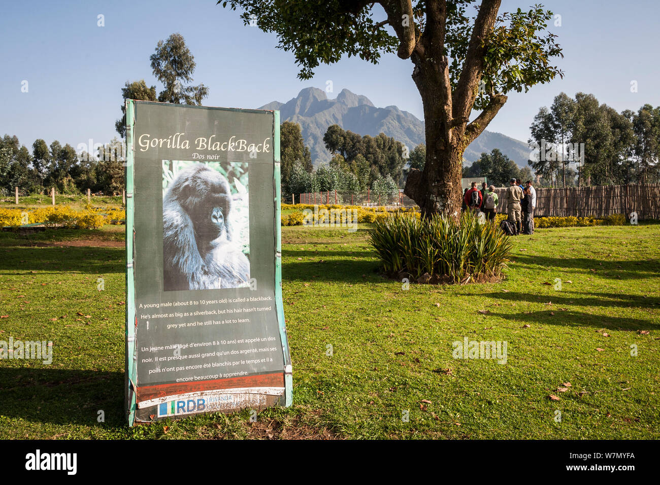 Early morning briefing at the Kinigi Visitor Center before going on ...