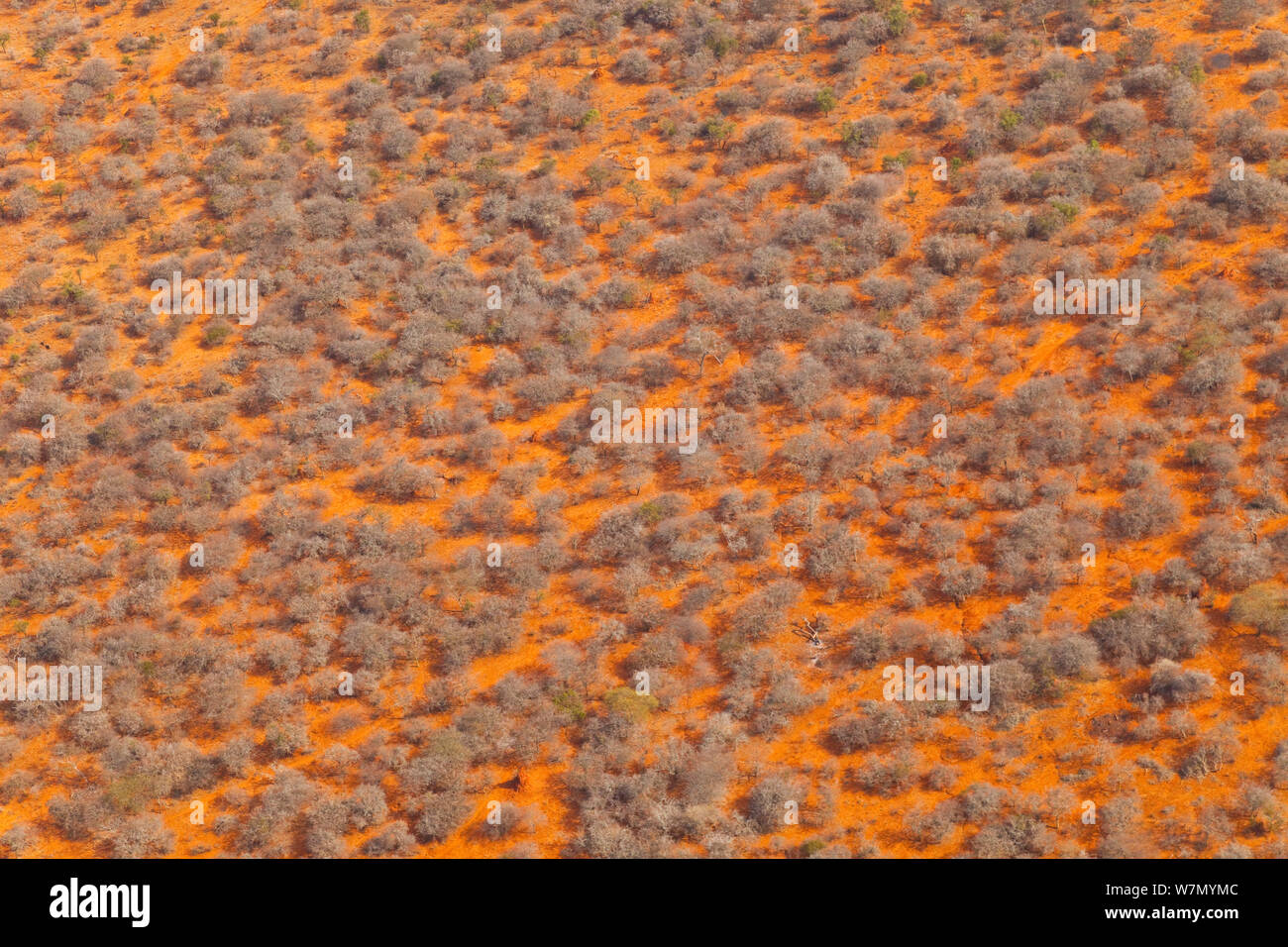 Aerial view of savanna land in the dry season, Rift Valley, Tanzania ...
