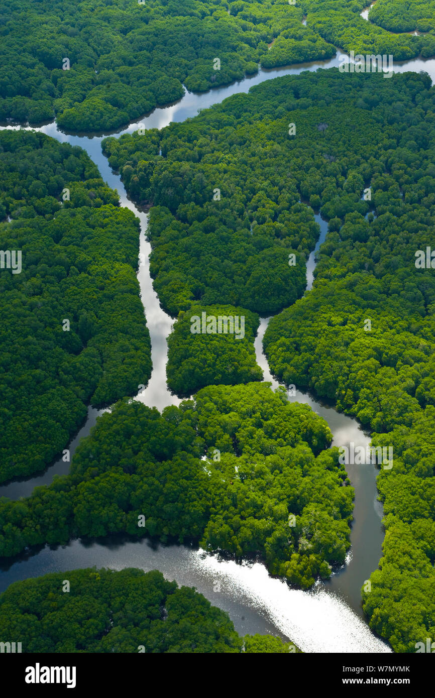 Aerial view of Kinabatangan river flowing through rainforest, Sandakan ...