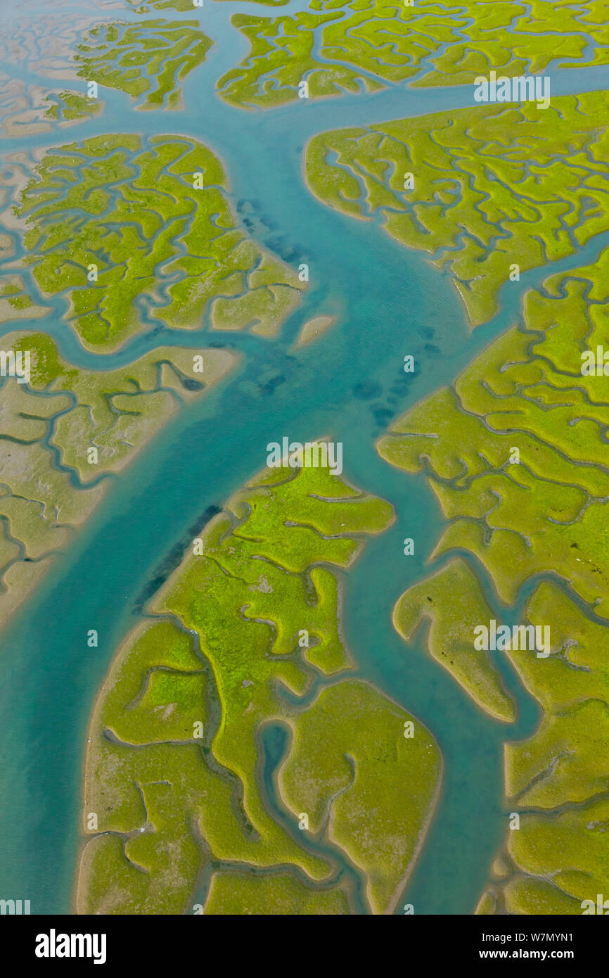 Aerial view of river tributaries and saltmarshes of Bahia de Cadiz ...