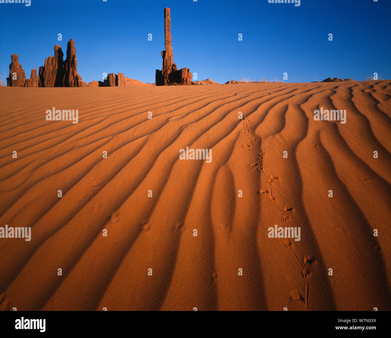 The Totem Pole and the Yei Bi Chi formations of eroded sandstone, with ...