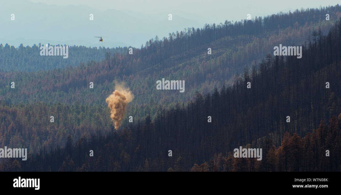 Forest Service contractor's helicopter releasing giant straw bales onto ...