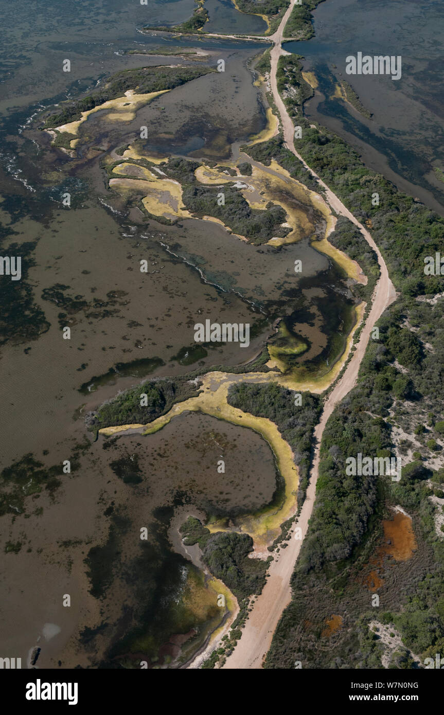 Aerial view of temporary lagoons in Camargue wetlands, colored by algae ...