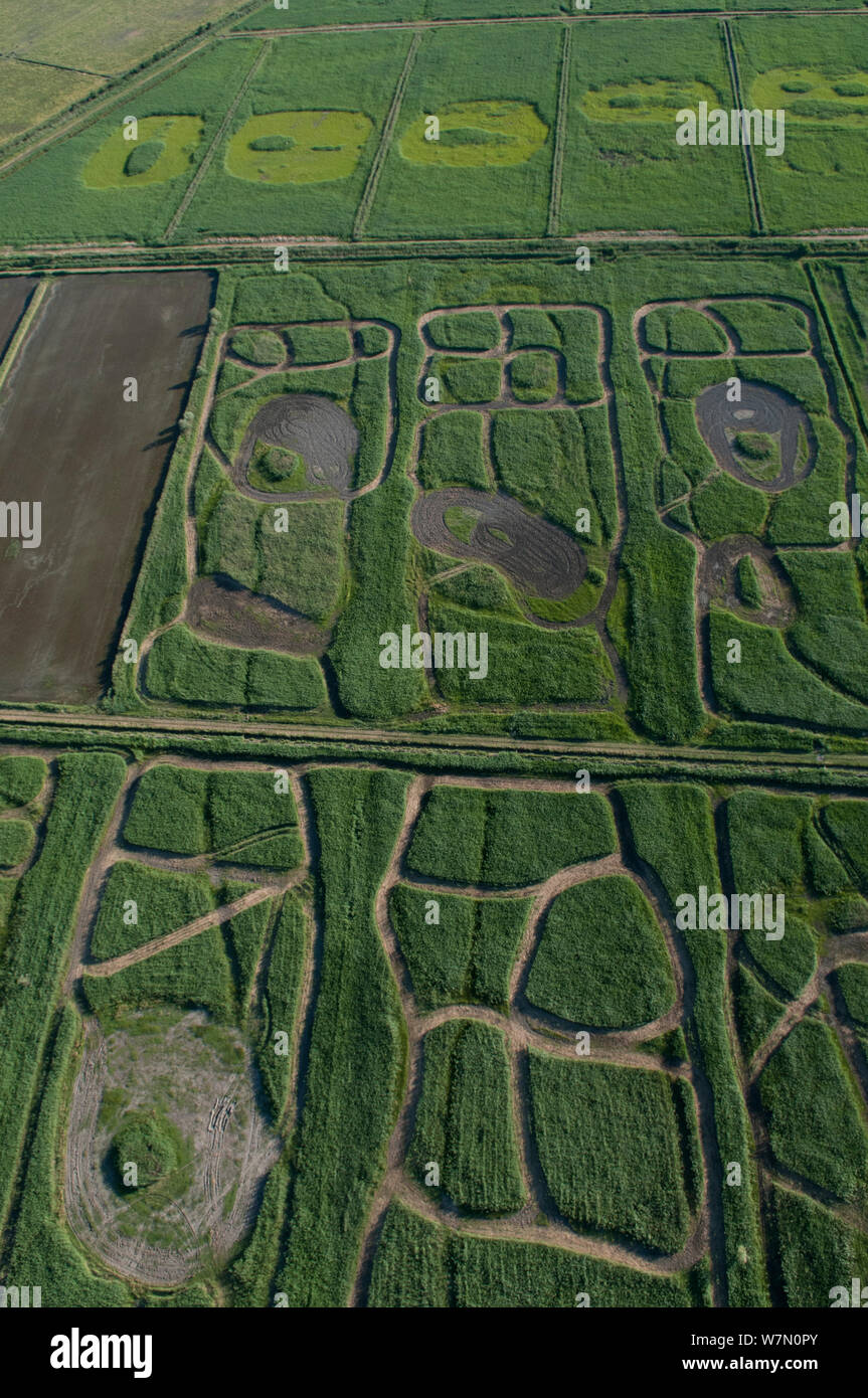 Aerial view of wetlands managed as a waterfowl hunting marsh in former ...