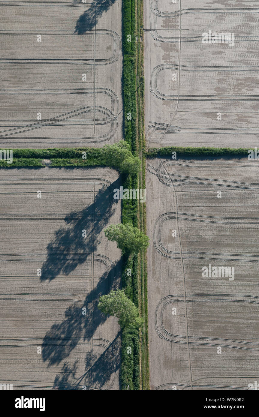 Camargue cross hi-res stock photography and images - Alamy