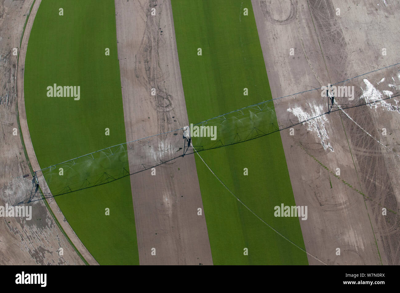 Turf patterns hi-res stock photography and images - Alamy