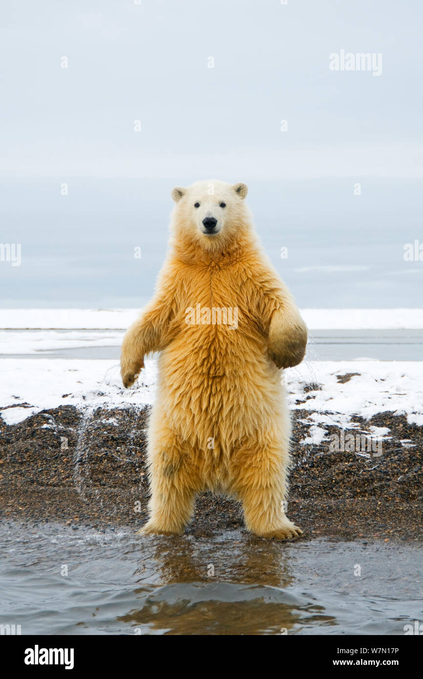 Shallow slope hi-res stock photography and images - Alamy