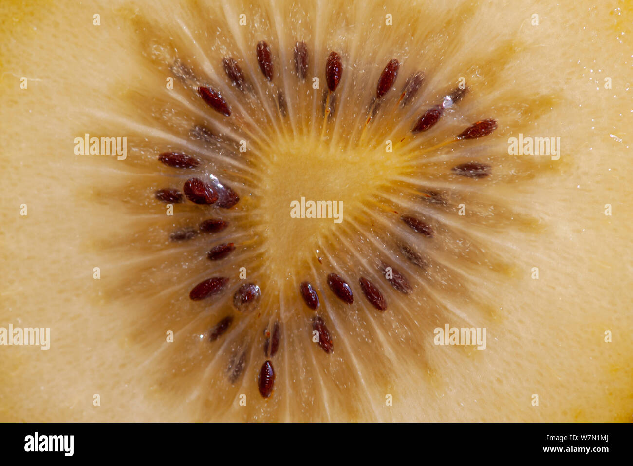 details of a sliced kiwi with fruit kernels Stock Photo - Alamy